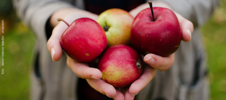 apples-plural-nouns-in-English | Dilo en Inglés